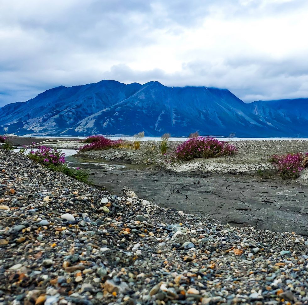 Yukon Lake Cabins - Remote & Exclusive Vacation Rentals